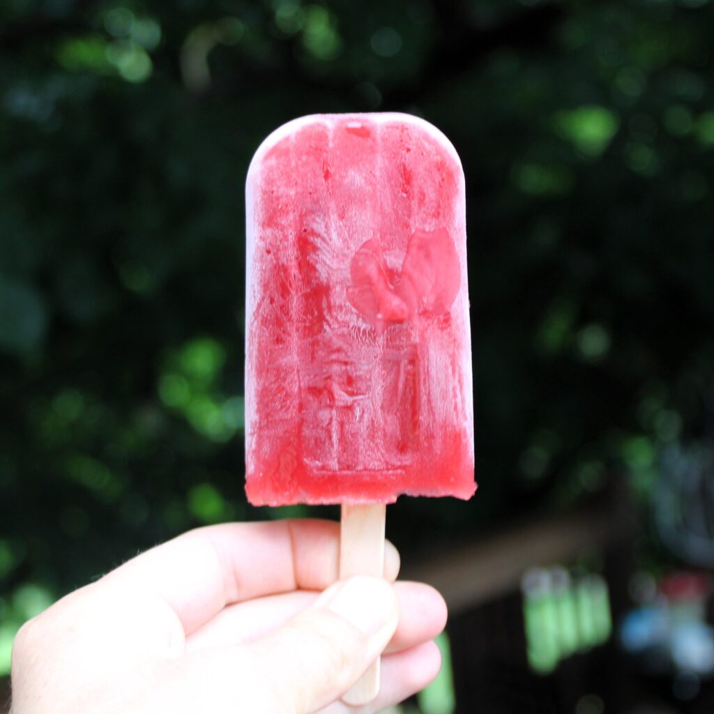 Strawberry Mint Popsicles with Electrolytes for Happy Kids ...